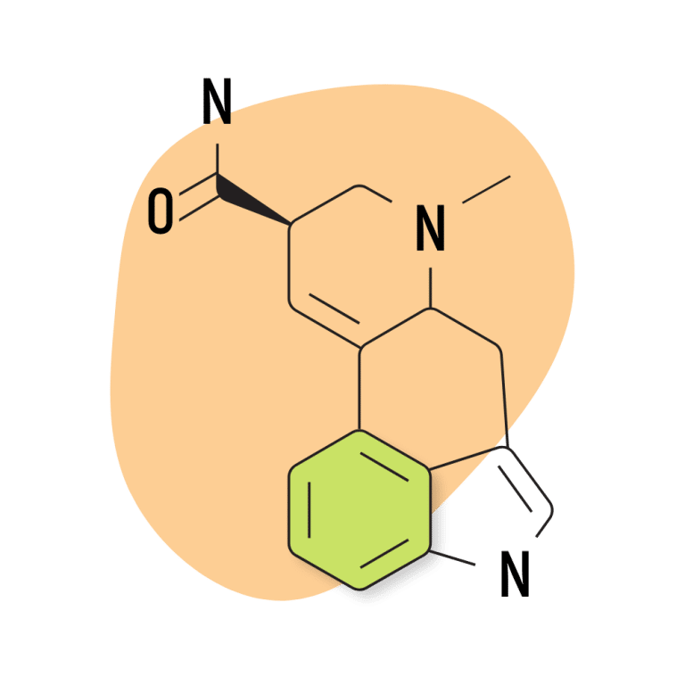 Hawaiian Baby Woodrose Seeds (HBWR): Naturally-Occurring LSA - Tripsitter