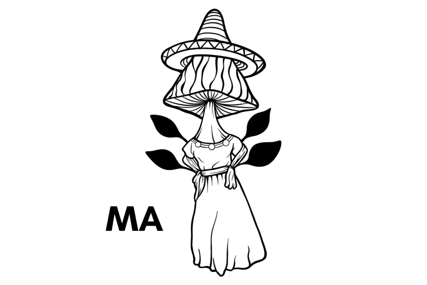 Sacred Fungi of Mexico: The Palenque Mexico Strain - Tripsitter