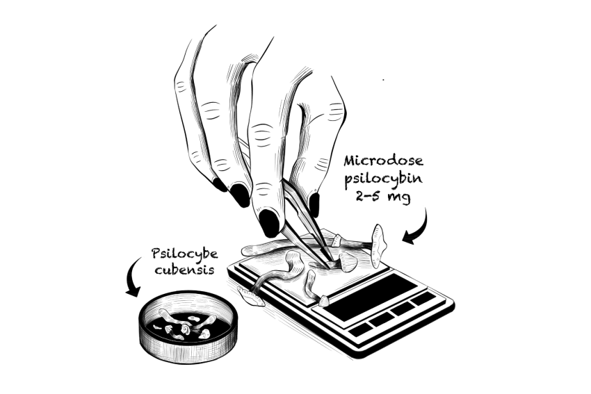 Magic Mushroom Dosing: Psychedelic Mastery - Tripsitter