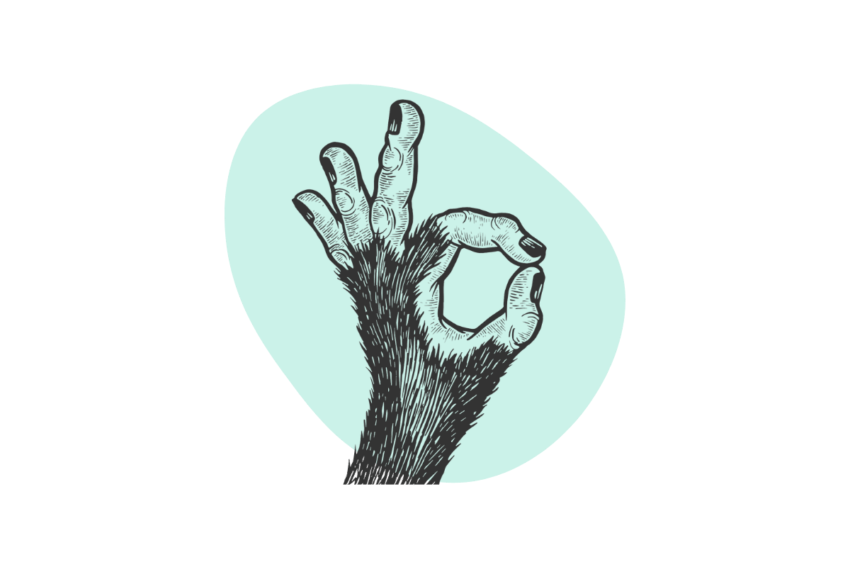 What Is the B+ Shroom Strain? Everything You Need to Know - Tripsitter