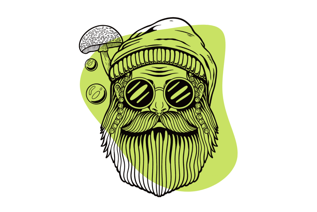 Mushroom Santa: The Strange Correlations Between Christmas Tradition ...