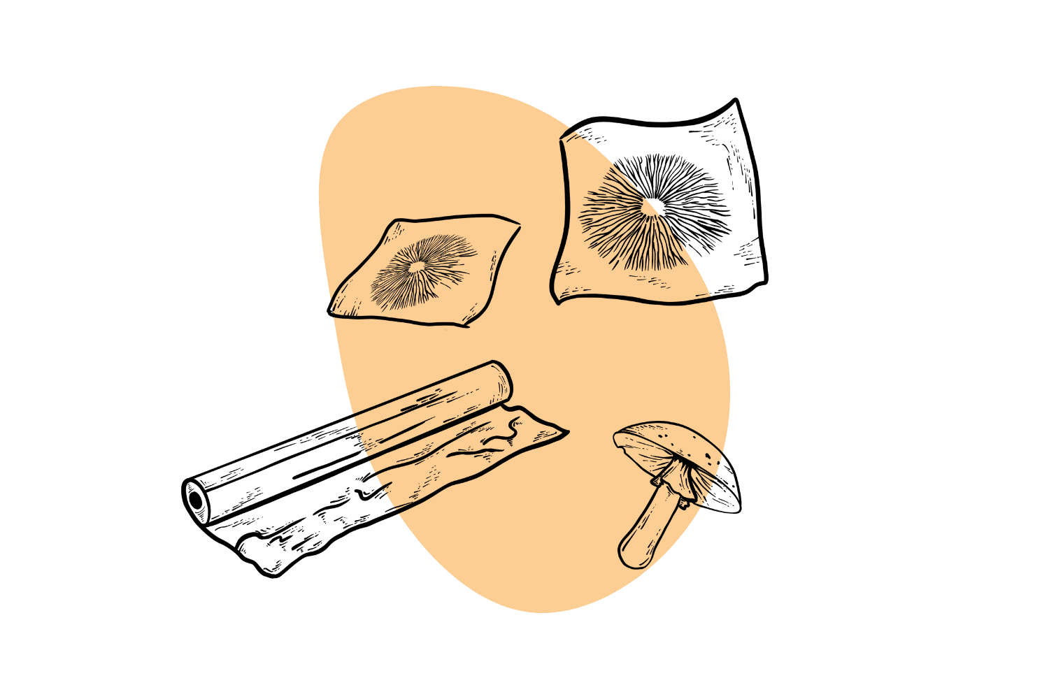 Where Do Shrooms Grow? How to Find Magic Mushrooms in the Wild - Tripsitter