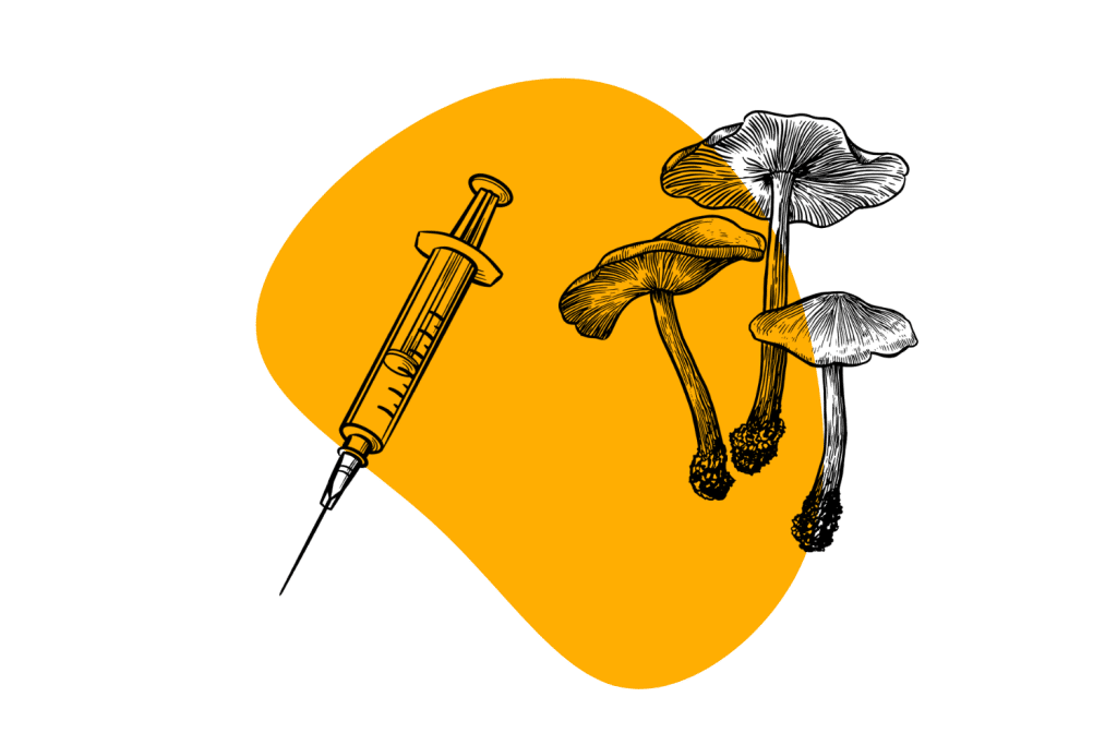 How to Make Shroom Tea: Step-By-Step Guide - Tripsitter