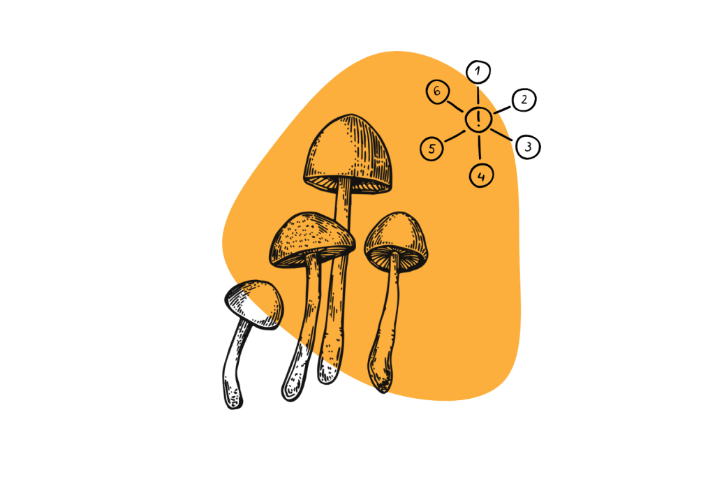 Aztec God Shroom Strain: History, Appearance, Effects & More - Tripsitter