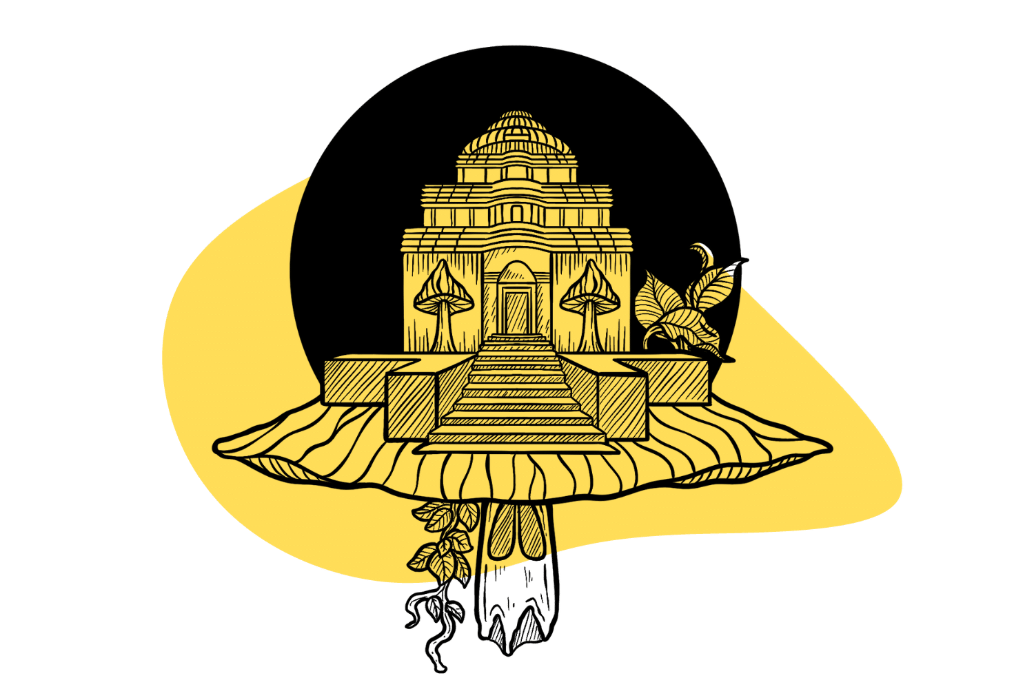 Orissa India Shroom Strain: One of the Largest and Most Potent Cubensis ...