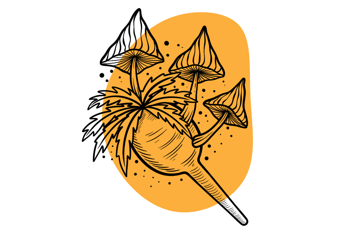 Paraguay Shroom Strain: Surprisingly Underrated - Tripsitter