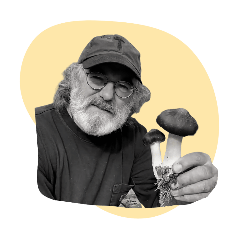 Paul Stamets: The Mycologist Who’s Changing the World - Tripsitter
