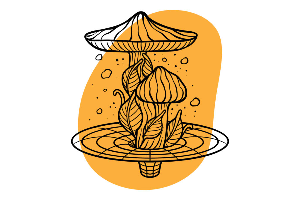 The A+ Strain Mushroom — All You Need to Know - Tripsitter