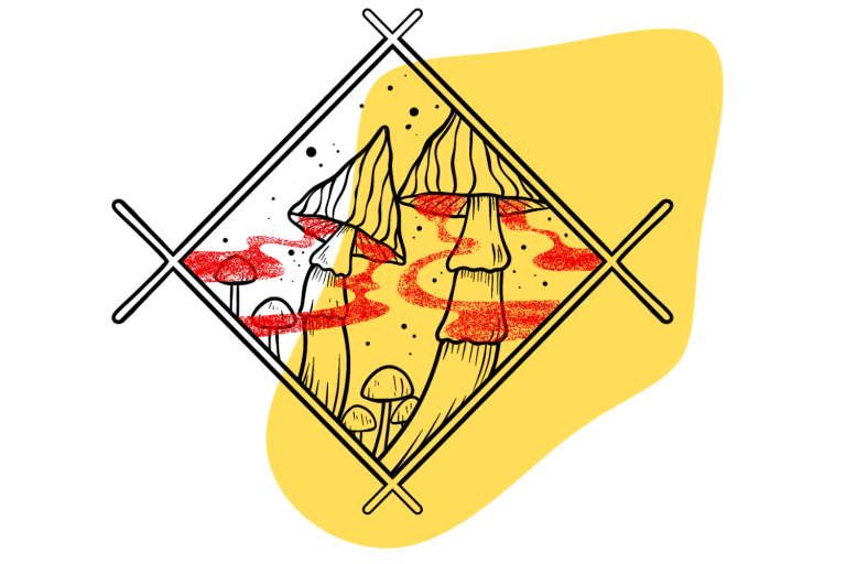 Z-Strain Magic Mushrooms: Potency, Effects, & Growing Tips - Tripsitter
