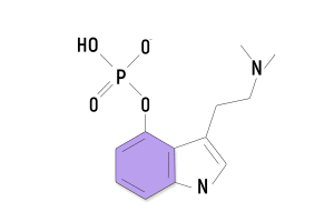 Shroom Science: Understanding the Differences Between Psilocybin ...
