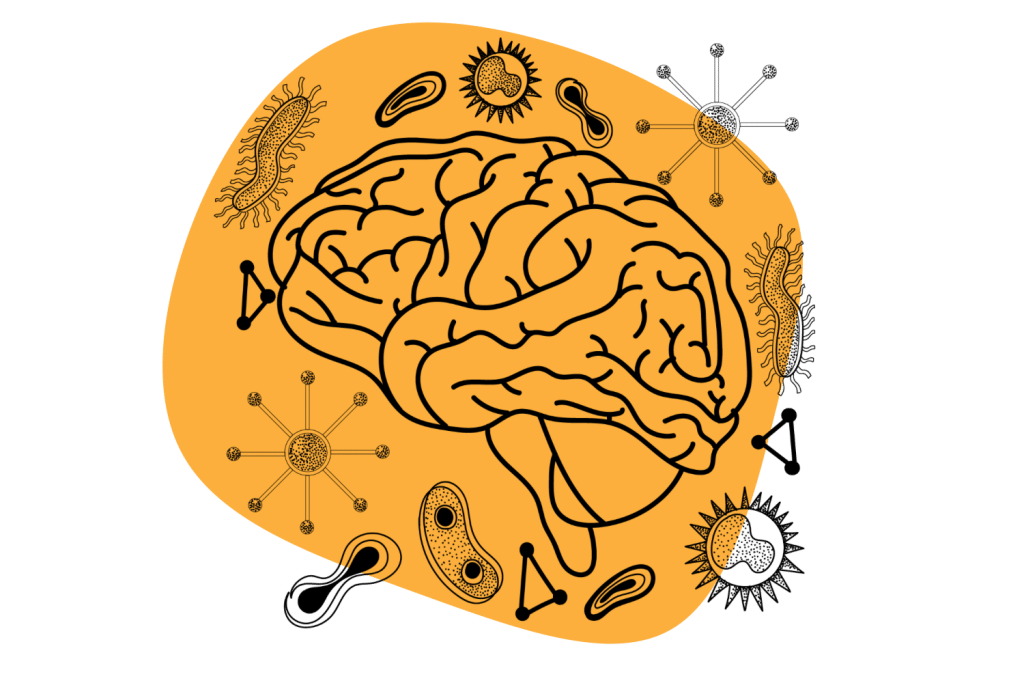 What Are Psychobiotics? - Tripsitter