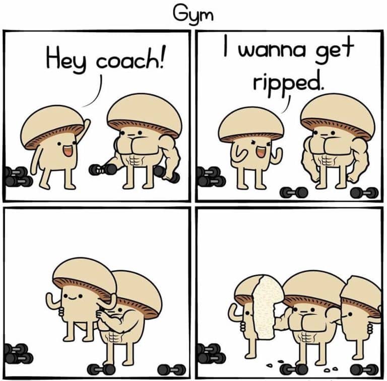 40 Fungus Jokes & Puns We Promise You’ll Be Lichen - Tripsitter