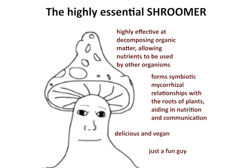 Introducing the Shrigma Male: The New Frontier of Masculinity - Tripsitter