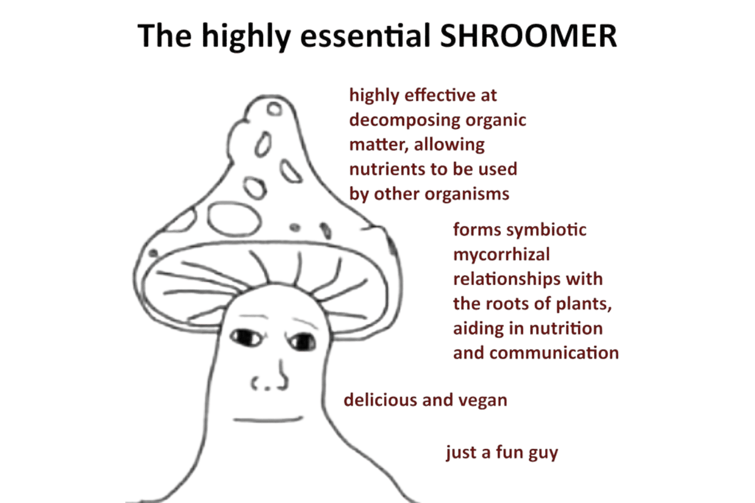 Introducing the Shrigma Male: The New Frontier of Masculinity - Tripsitter