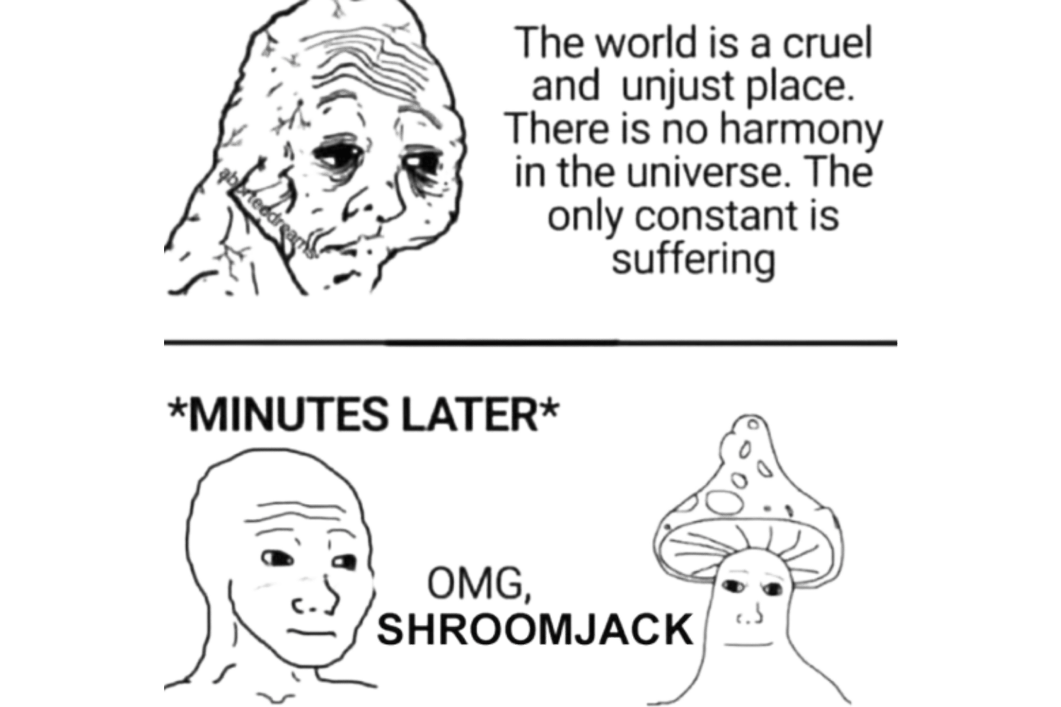 Introducing the Shrigma Male: The New Frontier of Masculinity - Tripsitter