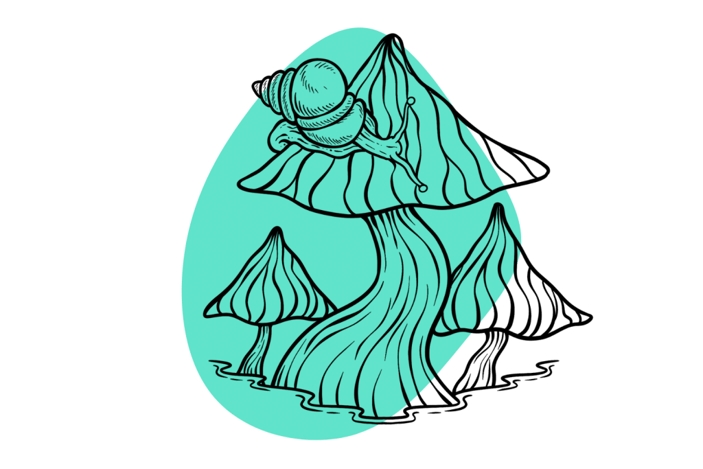 South American Shroom Strain: The World’s Largest Magic Mushroom Strain ...