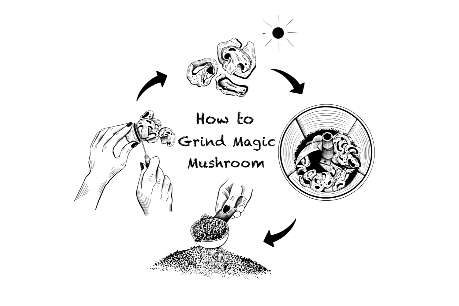 Tips for Grinding Magic Mushrooms - Tripsitter