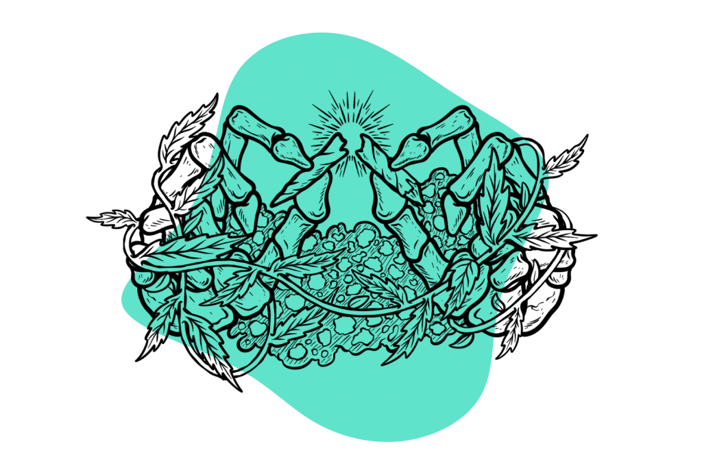 What Delta Is Regular Weed? (Weed Deltas 101) - Tripsitter