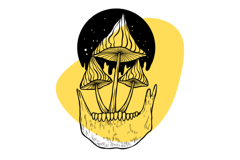 Z-Strain Magic Mushrooms: Potency, Effects, & Growing Tips - Tripsitter