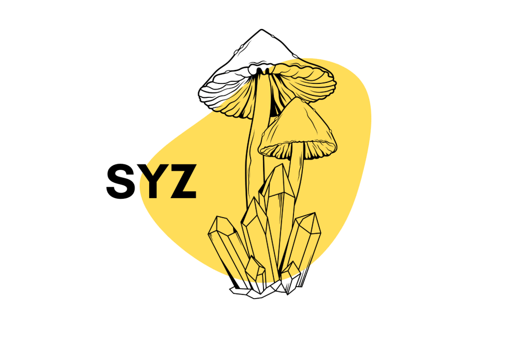 Trip Sitter | Psychedelic Pharmacopoeia