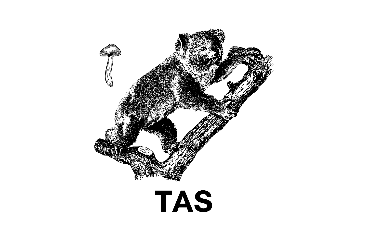 The Xico Strain: An Intriguing Mexican Psilocybe cubensis Variant ...