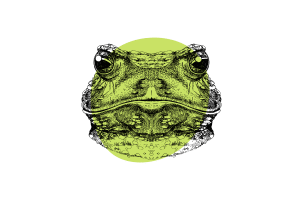 Psychoactive Toad Venom (Bufo Alvarius) - Tripsitter