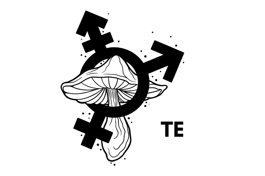 What Shrooms Are the Strongest? Top Strains & Species Ordered By ...