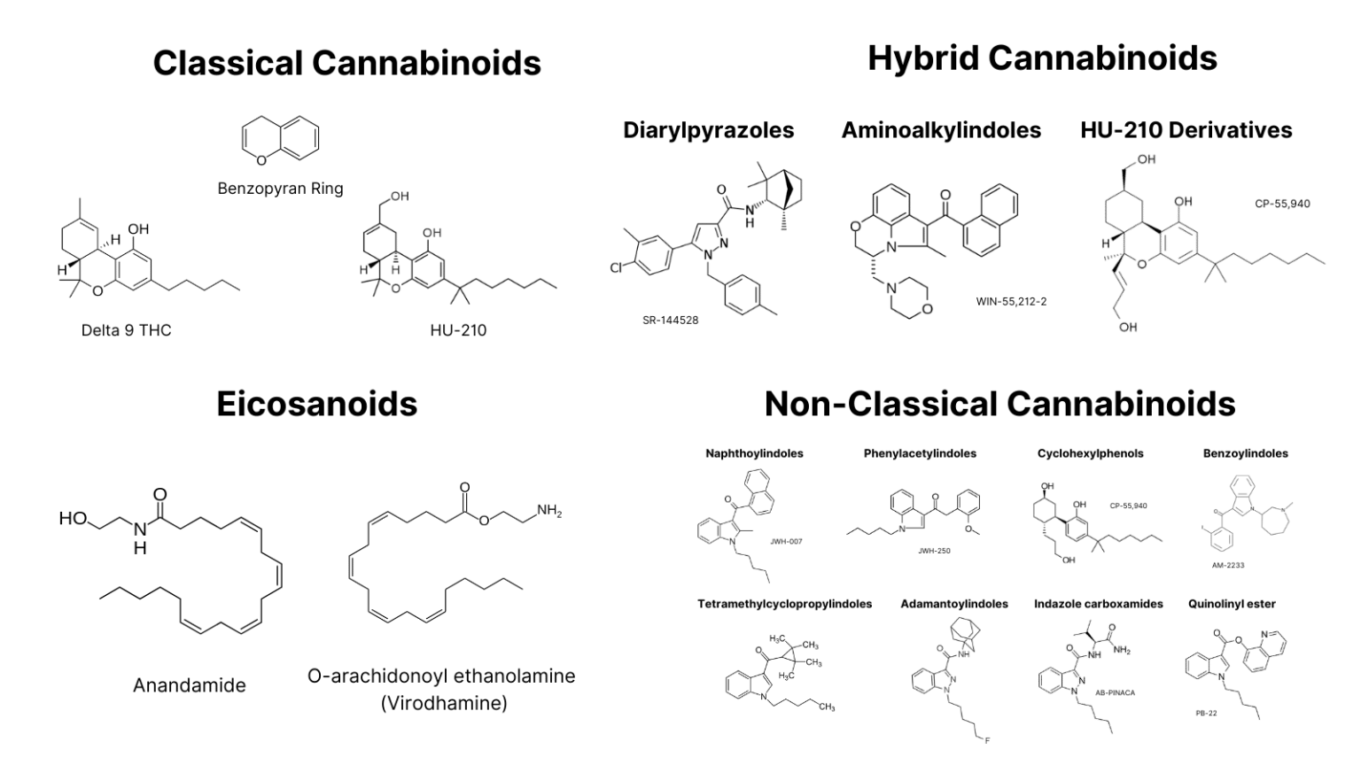 Beyond Cannabis: 8 Unexpected Plants & Fungi With Cannabinoids - Tripsitter