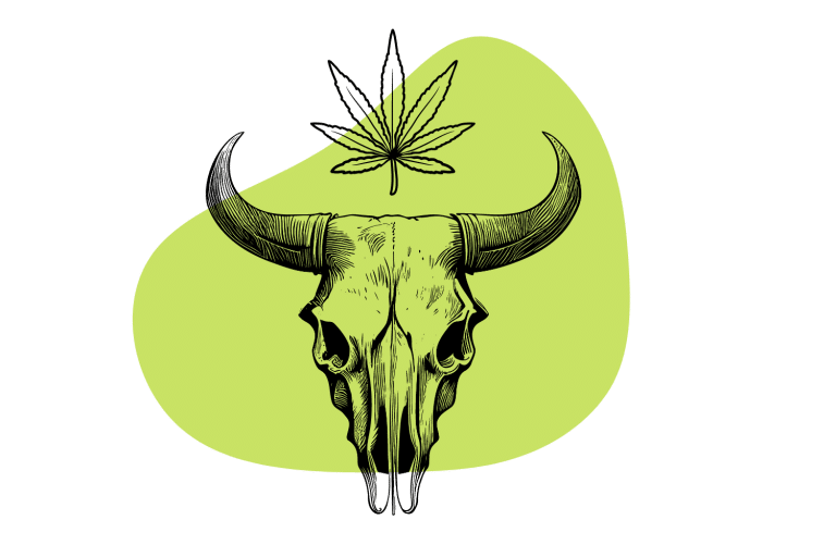 A Zip Of Weed Is a Lot, But Is It More Than You Need? Here’s How to ...