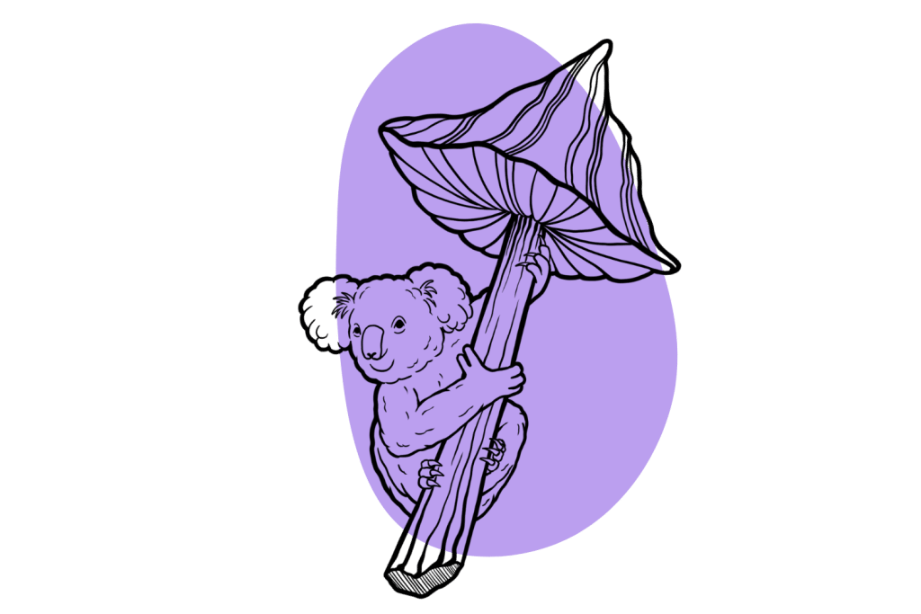 The A+ Strain Mushroom — All You Need to Know - Tripsitter